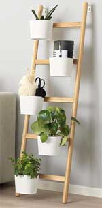 Rustic Wood Plant Ladder Shelf + 5 Ways to Use it